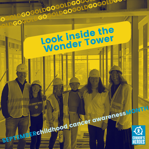 Progress of Wonder Tower - Connor's Heroes